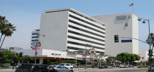 معهد بولي للغات - Poly Language Institute | كيسان للخدمات التعليمية