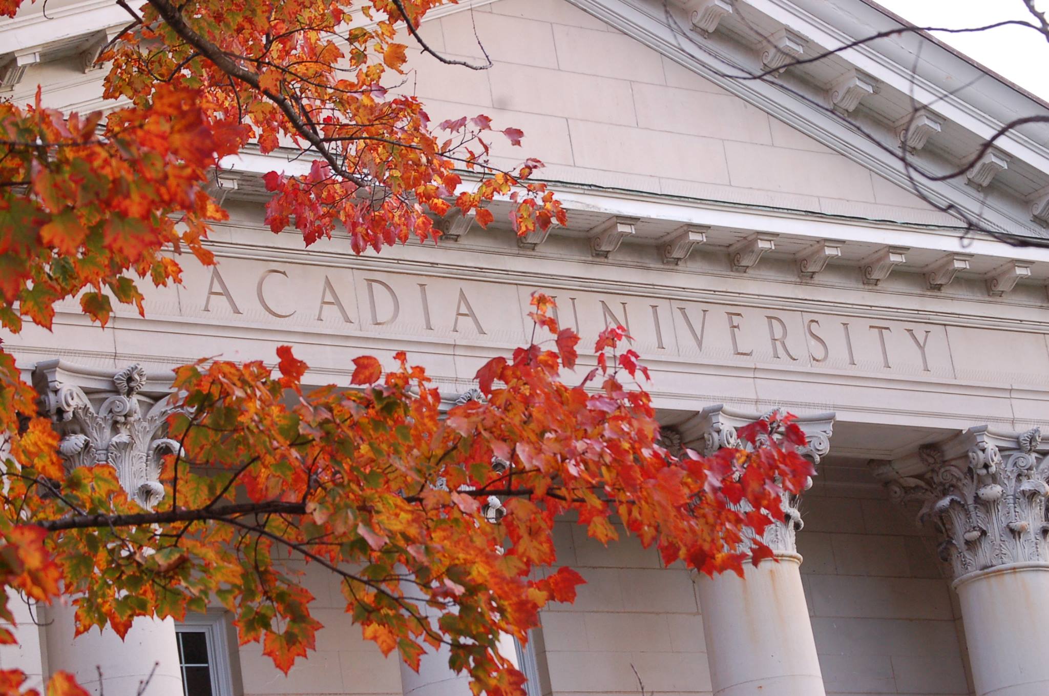 جامعة أكاديا | Acadia University | كيسان