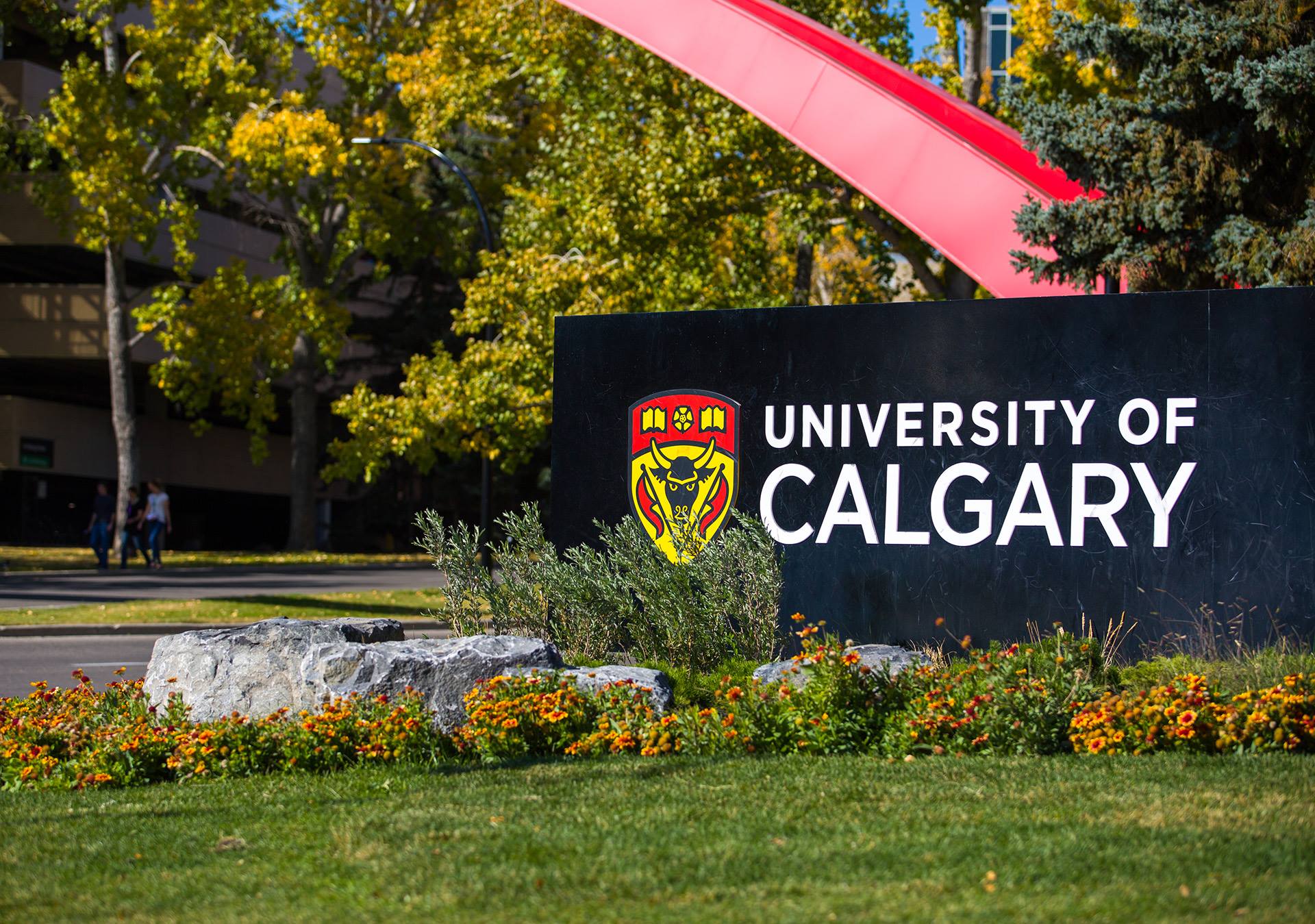جامعة كالجاري | University of Calgary | كيسان